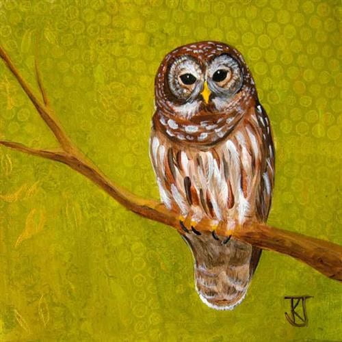 Two Crows Studio - Barred Owl II